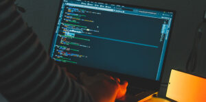 Custom Software: What It Is, Examples and Cost