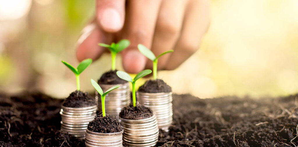 Sustainable Trends in Agricultural Investment Market