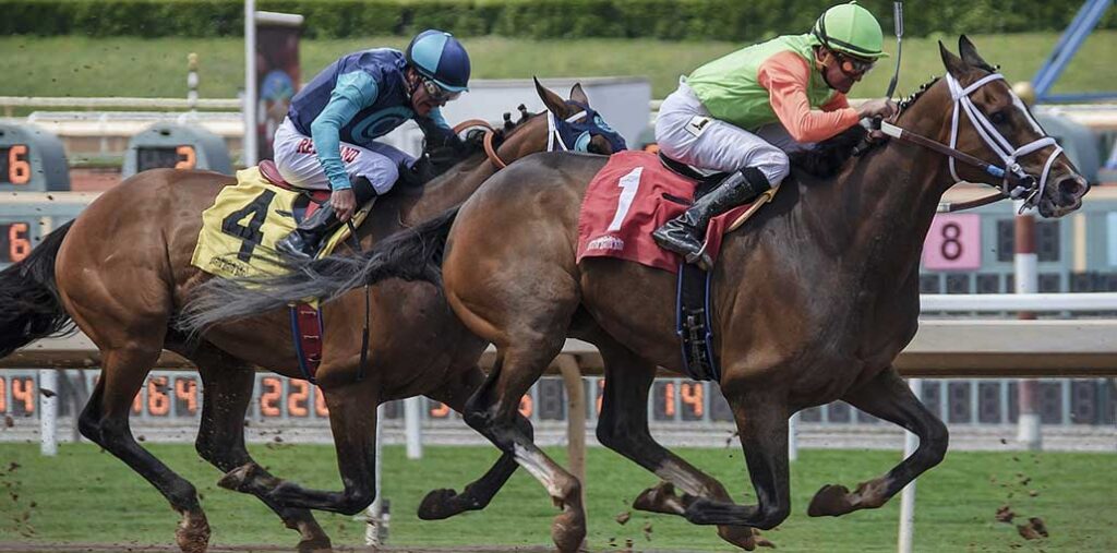 Interview with Harry Davis: Horse Racing Jockey